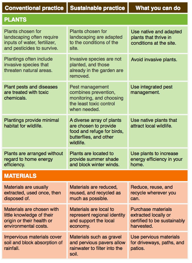 Making Your Yard Sustainable: Plants & Materials