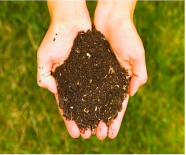 Organic Fertilizers: Giving a Jump Start to New Plantings