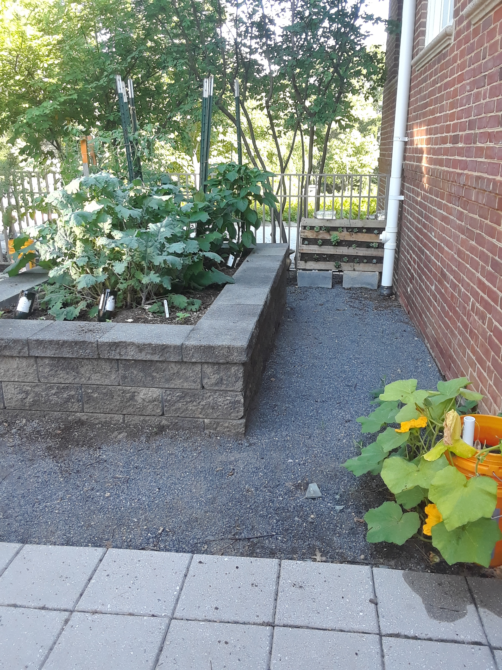 The Small Space Garden