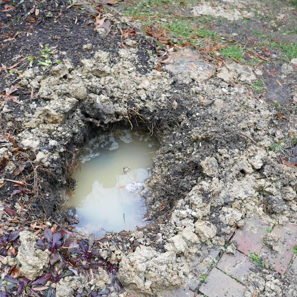 Clay, Humus, Loam, Mulch, Sand, Silt, Soil