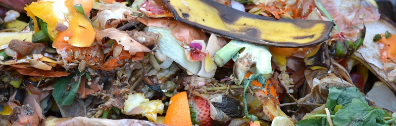 compost-800x256_banner
