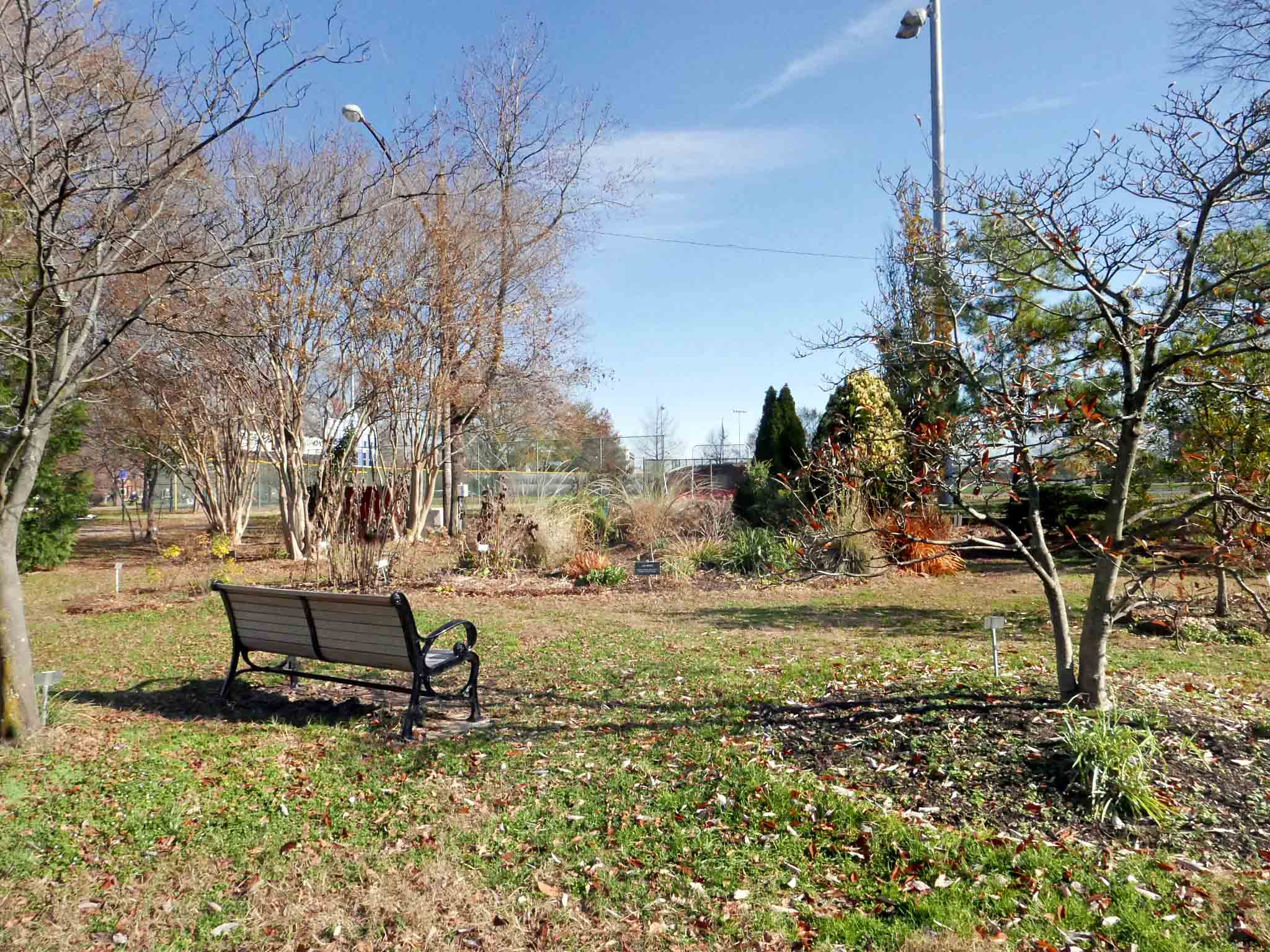 Simpson_Shade_Garden_and_The_Berm_Dec13.21_MMF