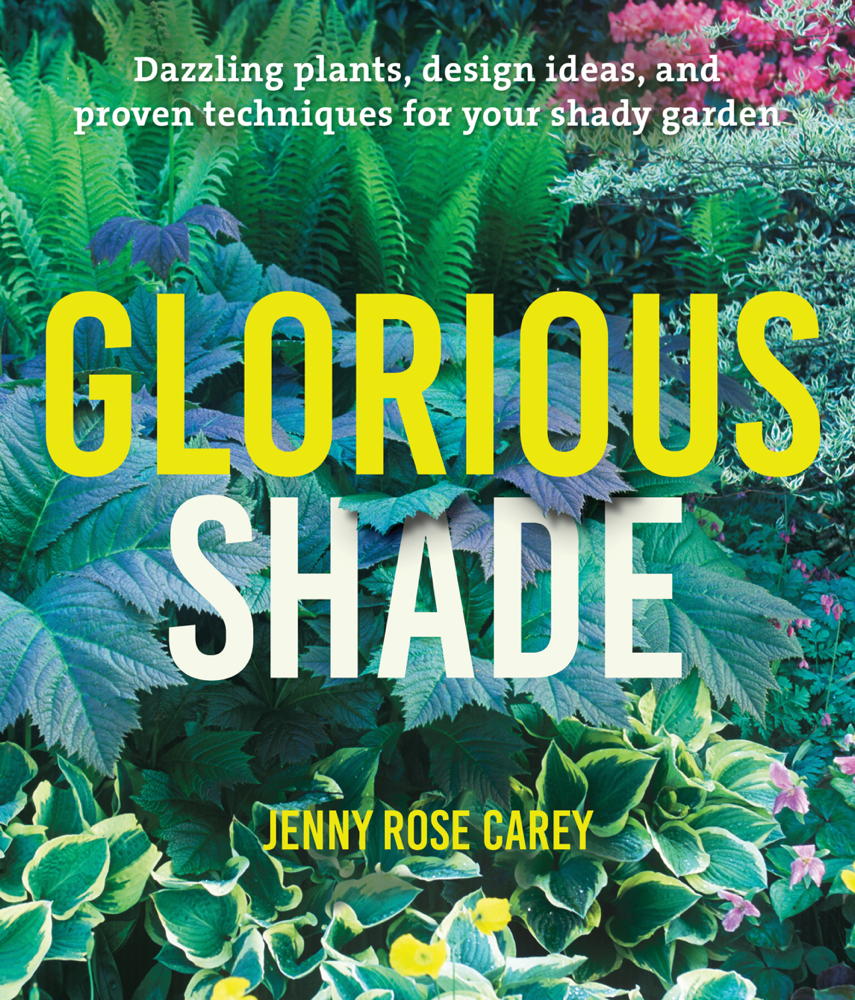Glorious Shade book cover