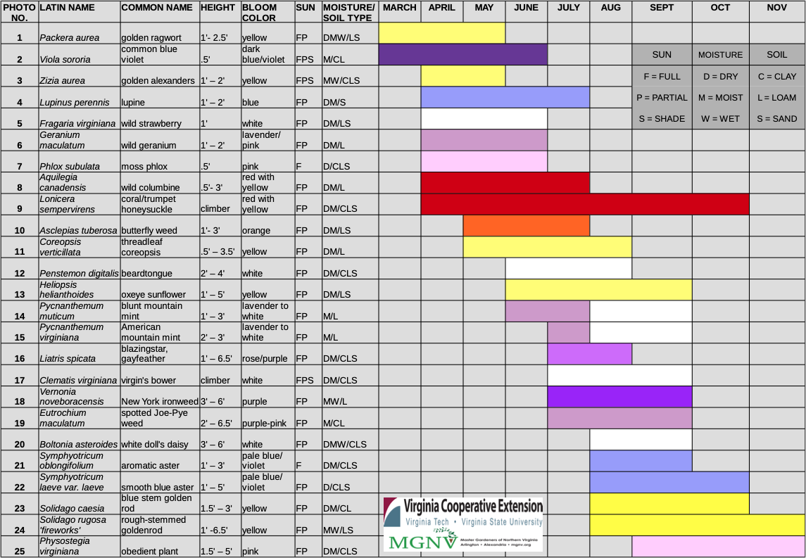 *Pollinator Garden Bloom Chart