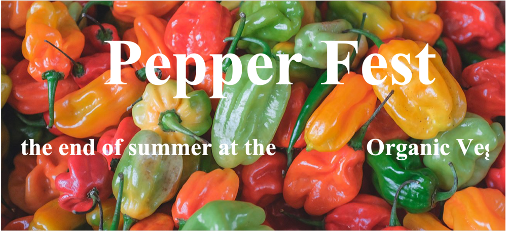 pepperfest2