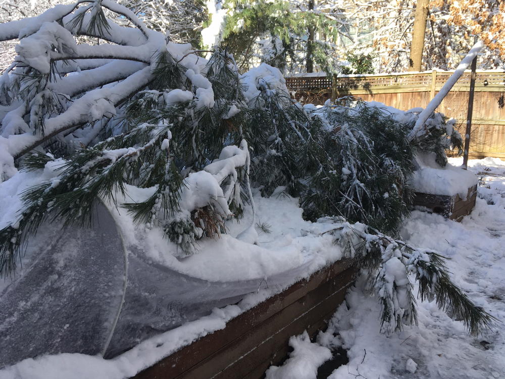 4-2021 Snowstorm Damage