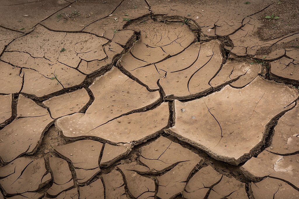 Clay, Humus, Loam, Mulch, Sand, Silt, Soil