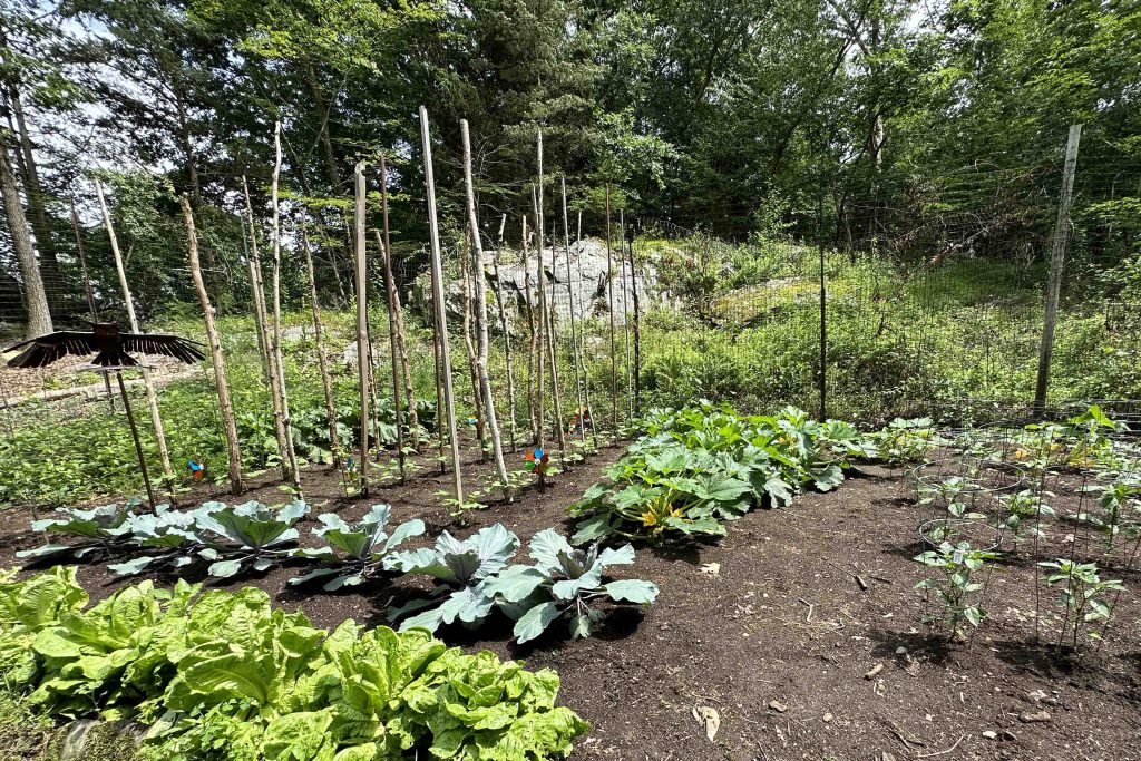 Clay, Humus, Loam, Mulch, Sand, Silt, Soil