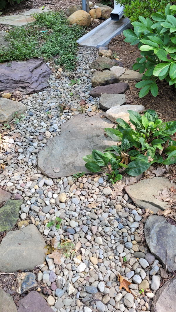 PHOTO #14 – Improved streambed