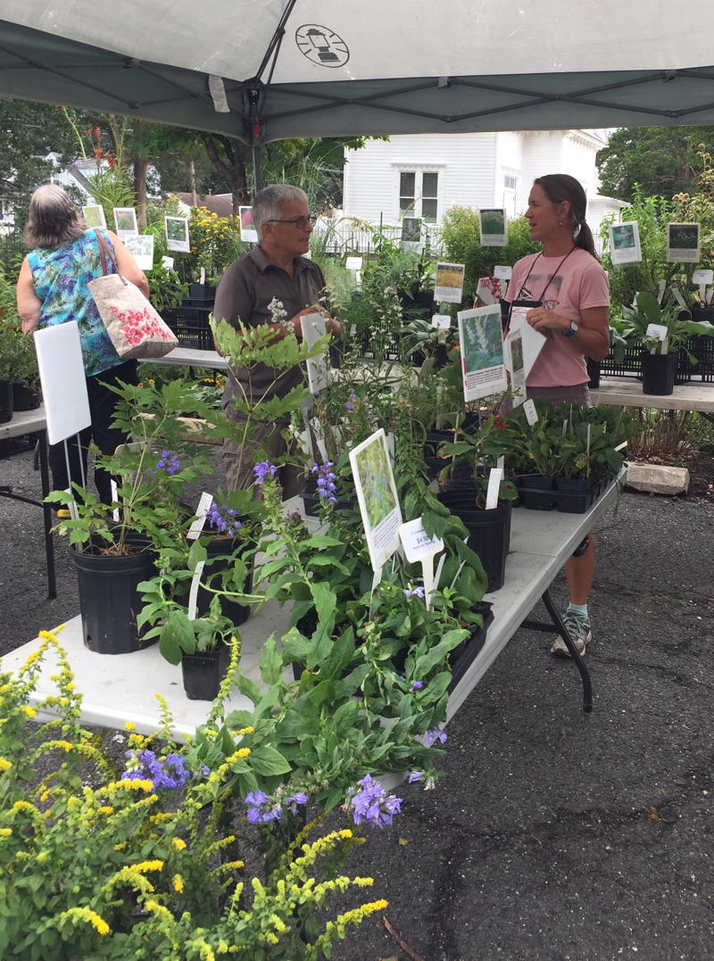 1-Native Plant Vendor
