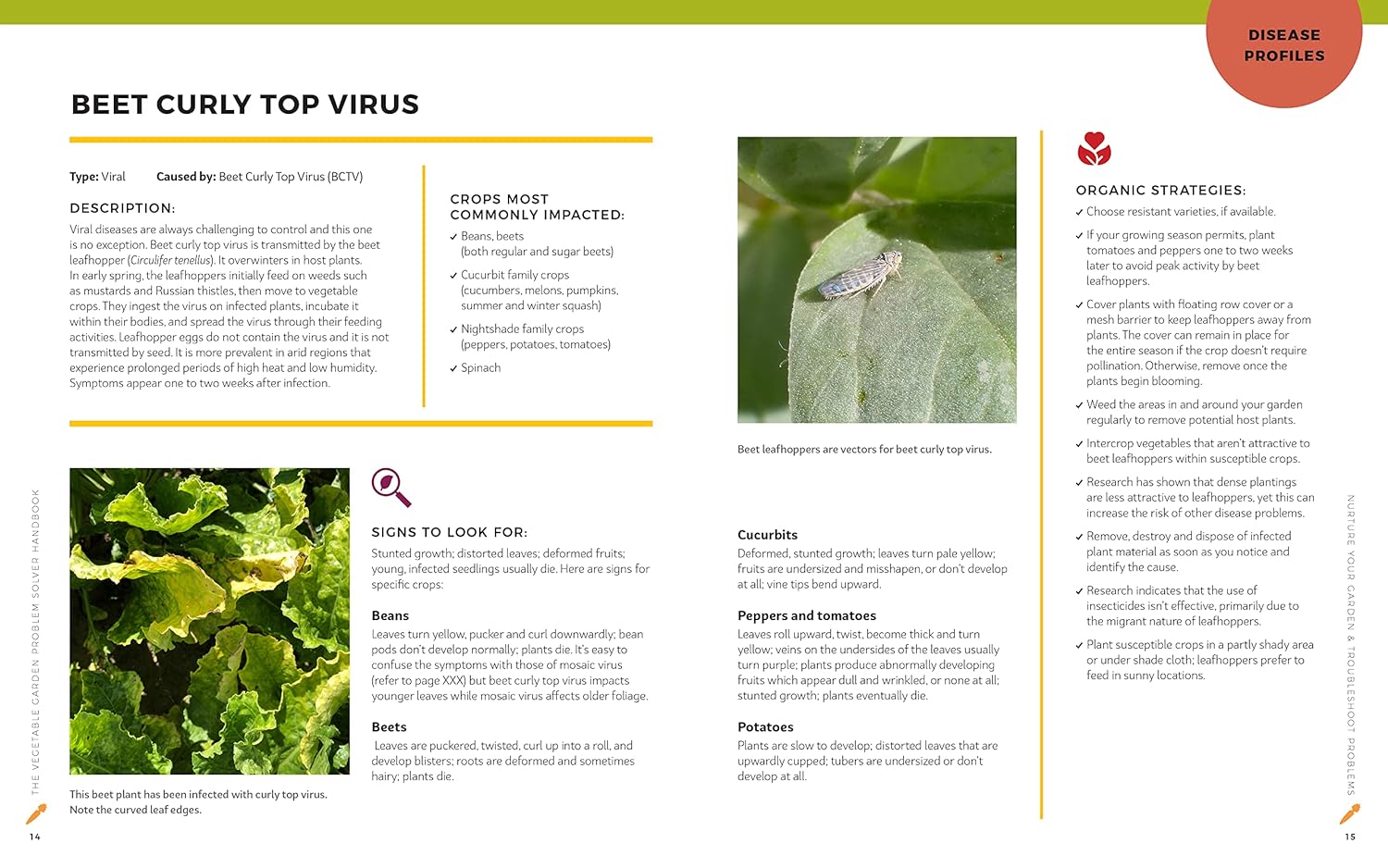 2veg_garden_problem_solving_handbook_beet_disease