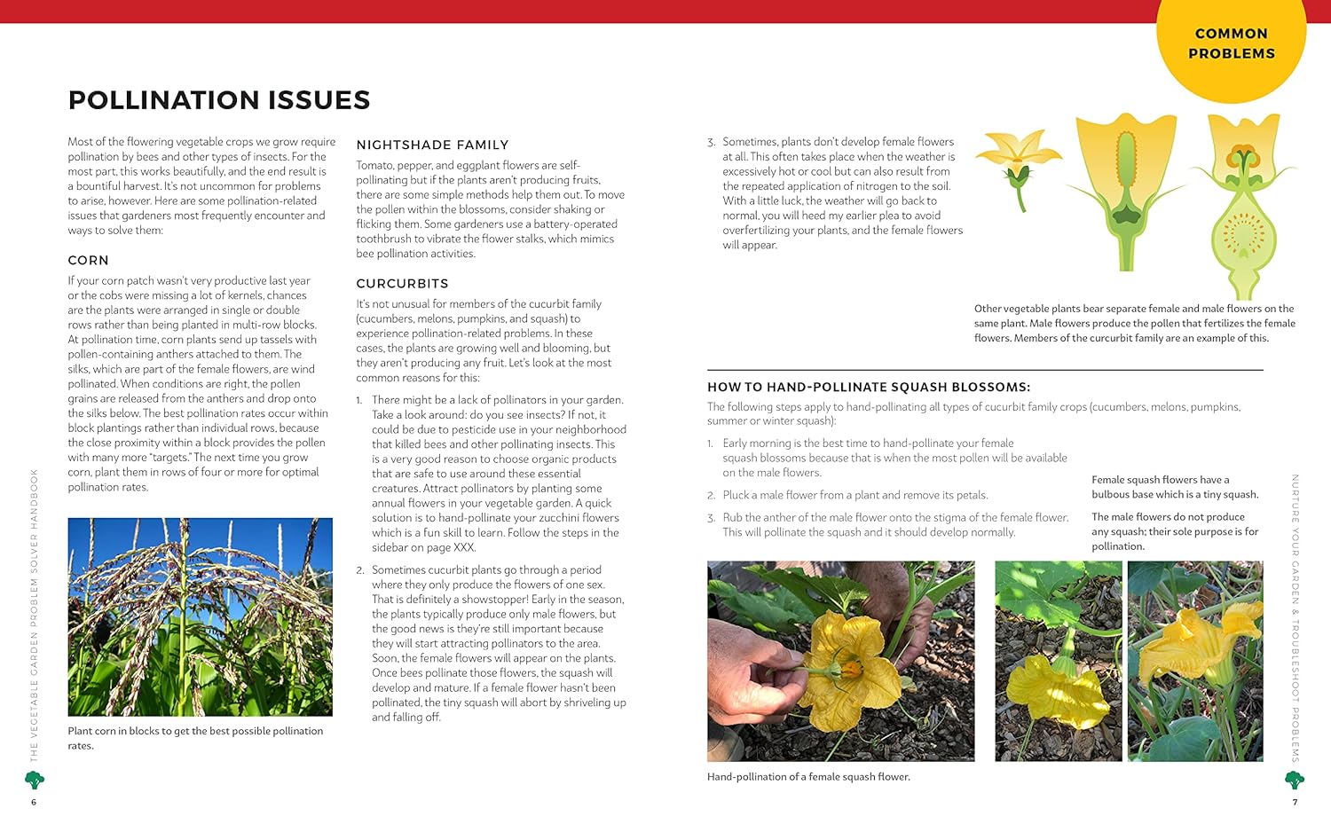 2veg_garden_problem_solving_handbook_pollination