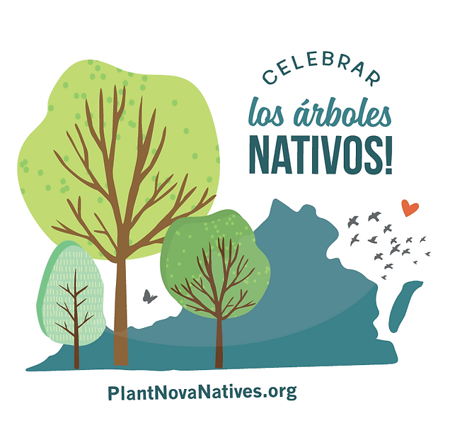 NOVA_sticker ESP_white