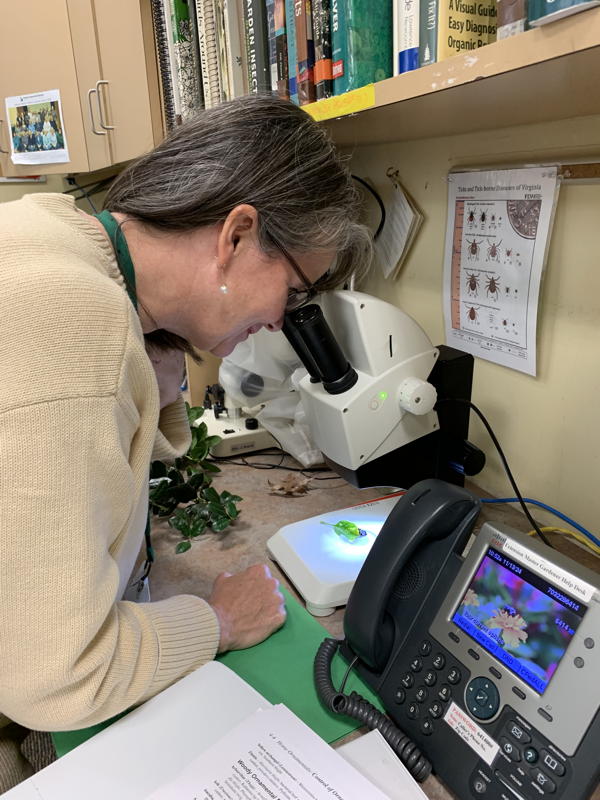 MaryG-Help-Desk_microscope_CR