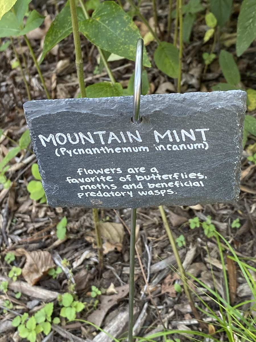 6a-plant_tag-900×1200